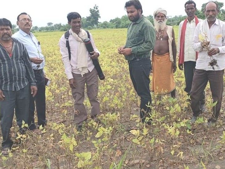 The survey of crop, house, animal loss due to rain will have to be ...