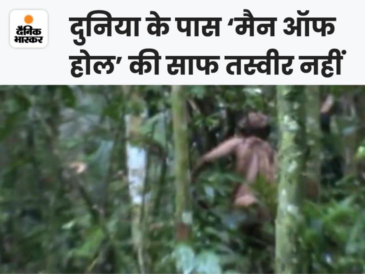 Man Of The Hole; Brazil Tribe Dead Body Found In Amazon Rainforest ...