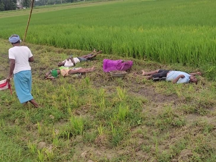 Death of son including husband and wife due to being hit, weeding of ...