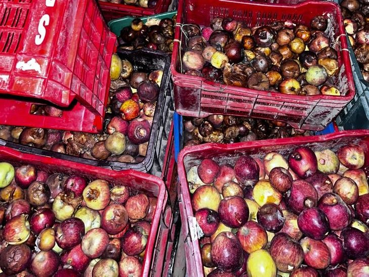 Kullu: 2 caught throwing garbage in the river | नदी में कचरा फेंकते 2 ...