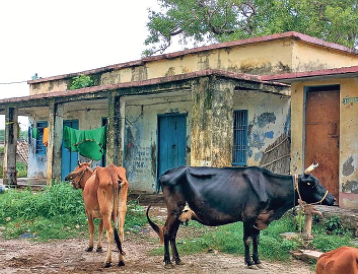 No, this is APHC Bhelwa; It will take the responsibility of treating 30 ...