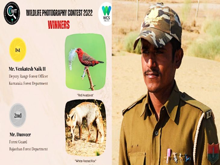 Danveer waved the flag in the wildlife photography contest | वाइल्ड ...