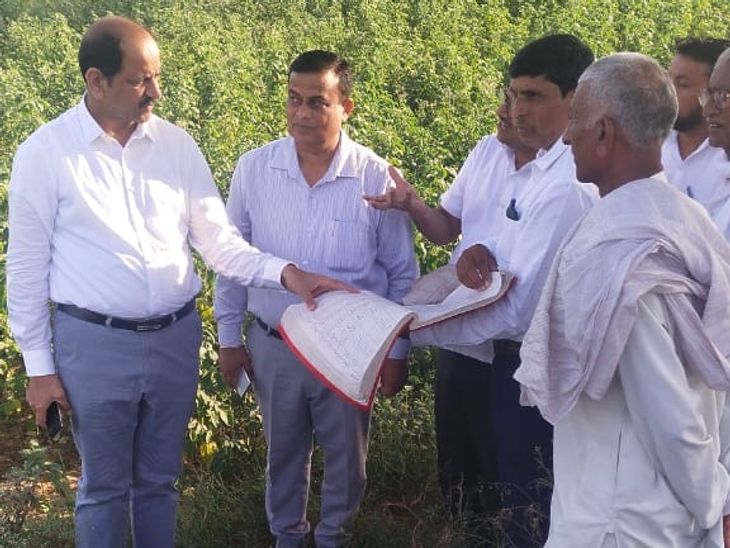 In Narnaul, DC Dr.JK Abheer inspected the girdawari work in the fields ...