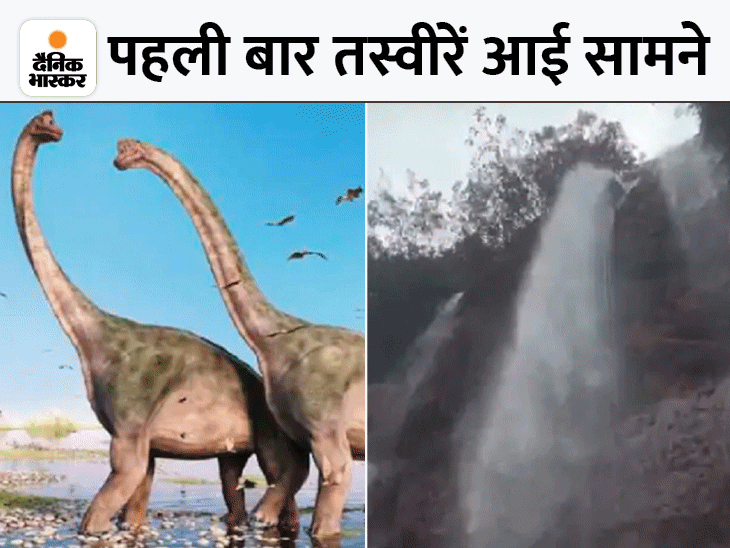 Here vegetarian dinosaurs used to eat tree fern leaves, drank water ...