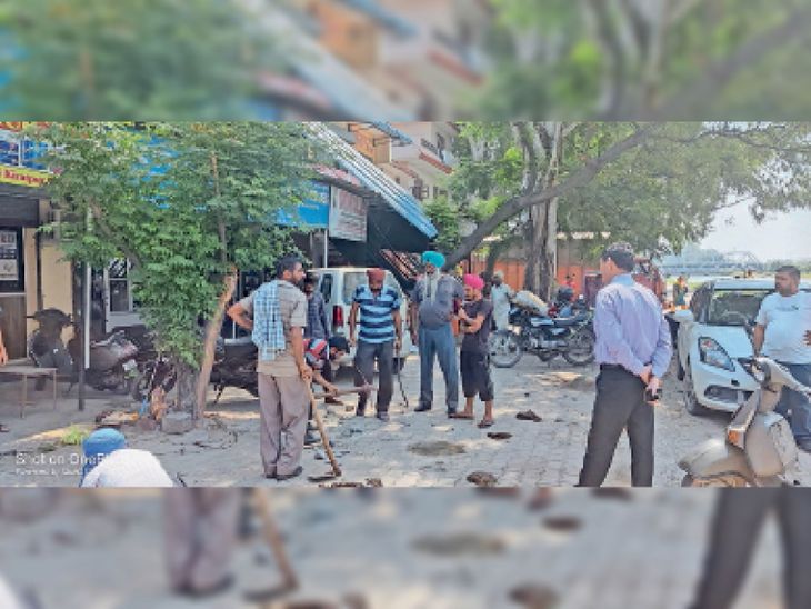 Forest Department planted saplings in front of shops from Sheetla Mata ...