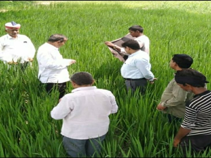 Crop assessment, drought assessment done; visited dozens of villages ...