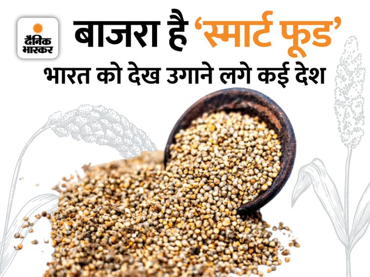 Narendra Modi On Bajra Production; Bajra Health Benefits & History In ...