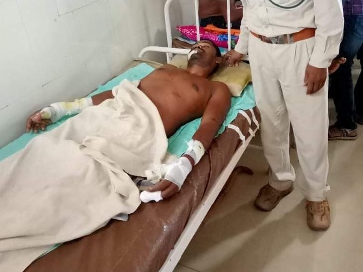 Wild boar injured villager, admitted to district hospital