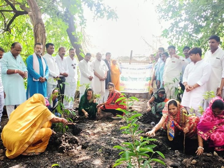 On the birthday of the Prime Minister in Rajgarh, the ribbon was cut in ...