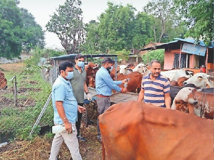 Campaign launched for the prevention of disease and health protection ...