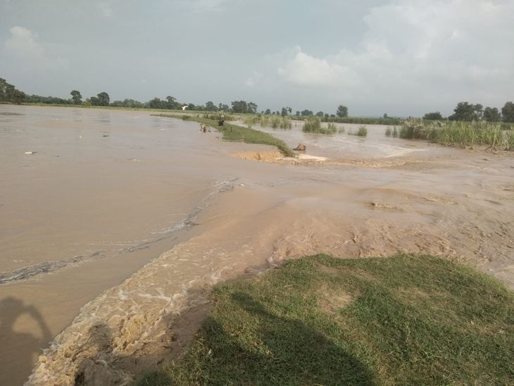 The flood of Mohana and Karnali rivers caused havoc, more than half a ...