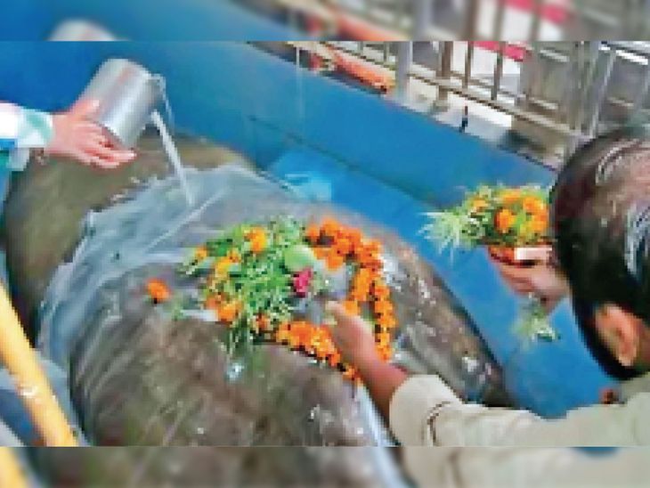 After Jyotirlingas, Kailash Kashi, Kalanaur is the most important ...