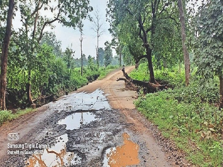 The culvert between Siwal-Badnapur became dilapidated | क्षेत्रवासियों ...