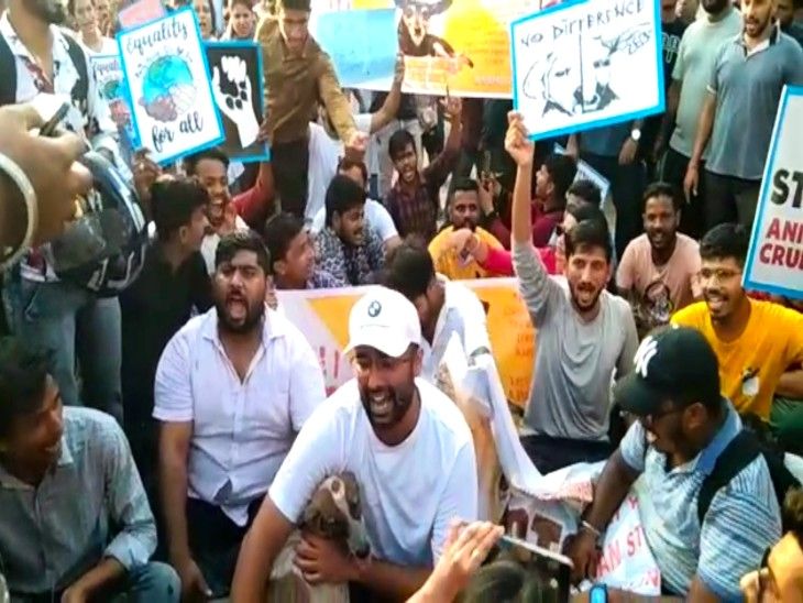 Angry mob beat up young man, mob surrounded CI who came to save | डॉग ...