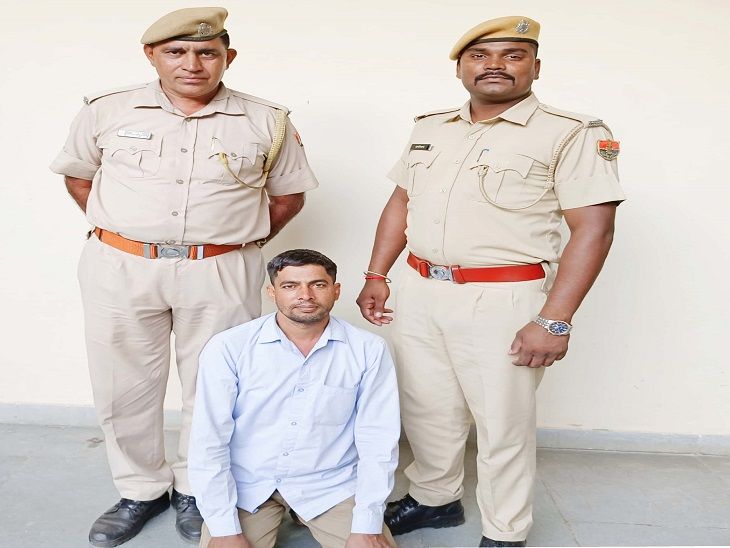 Buffalo tied on the plot, caught on the basis of 3 km CCTV footage | 4 ...