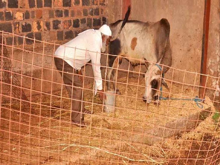 2 cases of virus lumped in Guna, one tied on a peg, the other locked in ...