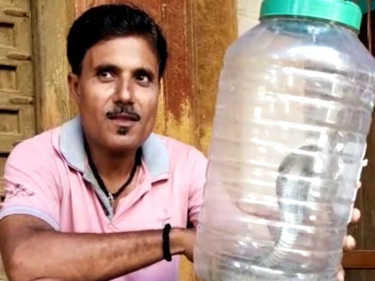 Snake catcher Imran rescued and released poisonous snake in the forest