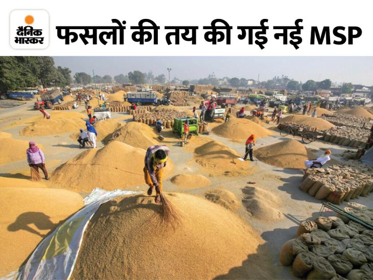 Haryana government's big decision regarding paddy purchase CM Manohar ...
