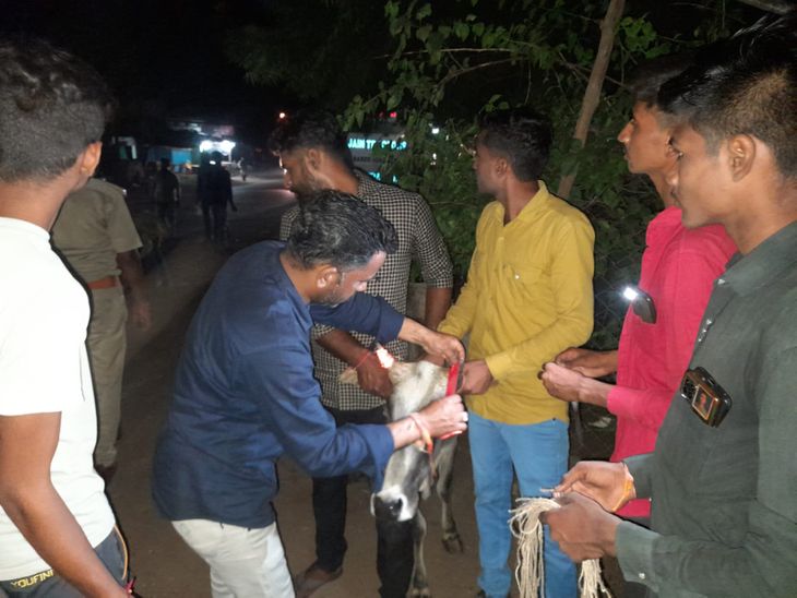 Radium sticker in traffic police with VHP Bajrang Dal | गोवंश को ...