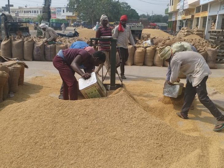 5 thousand quintals of paddy on the first day in Kurukshetra Anaj Mandi ...