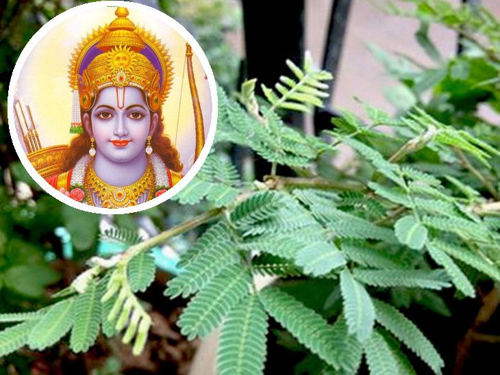 shami pujan, shani puja, dussera 2022, shri ram pujan, we should ...