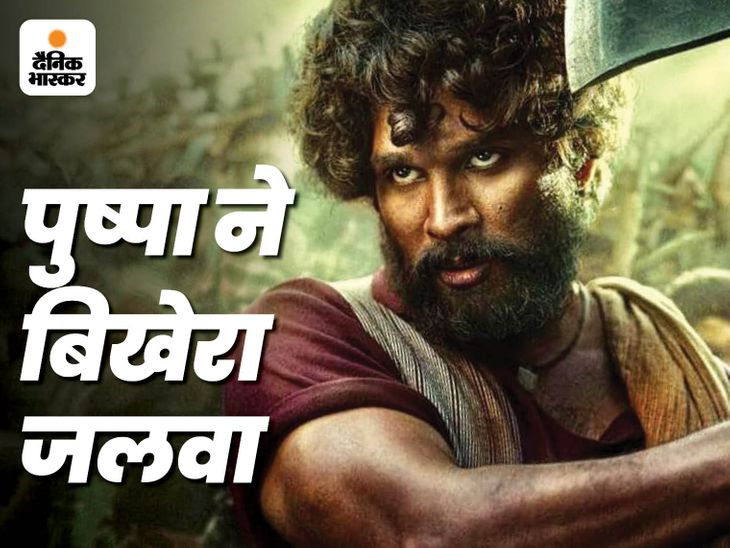 Pushpa won many awards at Filmfare Awards South | फिल्मफेयर अवॉर्ड्स ...