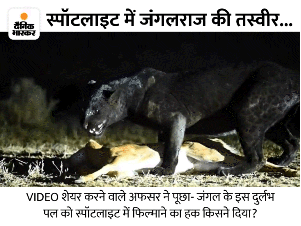 black Leopard Hunting Deer Video Goes Viral | IFS Officer Susanta Nanda