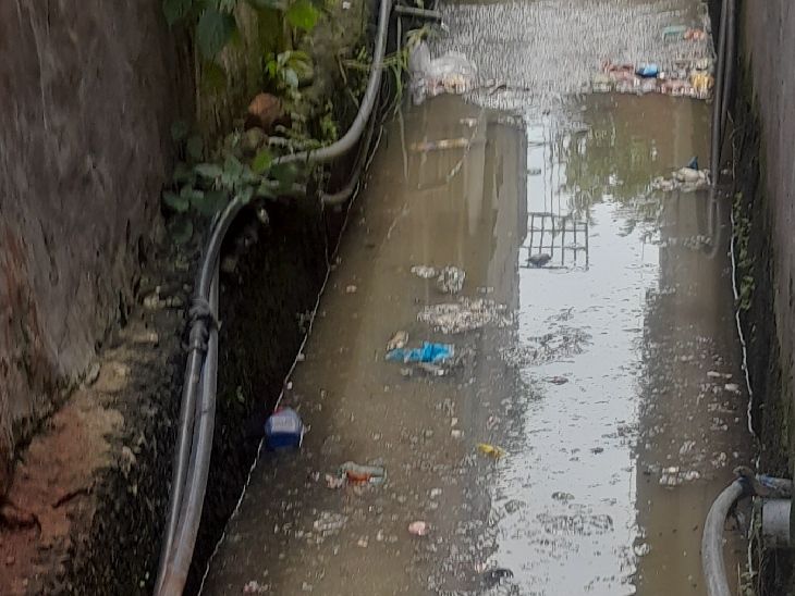 Dengue larvae growing in dirty water filled in pits and empty plots, 16 ...