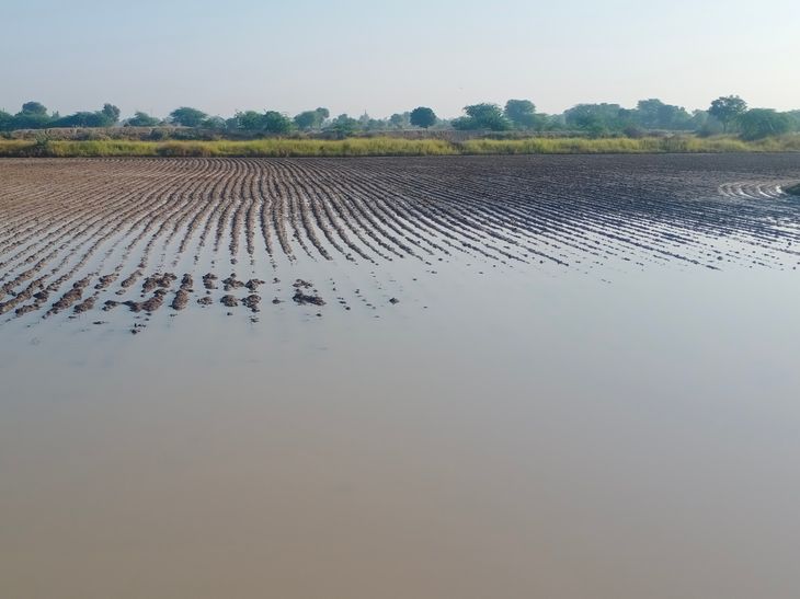 Rain water filled the fields in about 36 villages, sowing and plowing ...