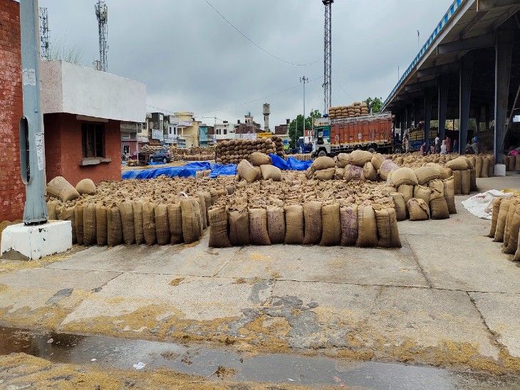 Thousands of sacks of paddy lying in the open will get wet due to 42 mm ...