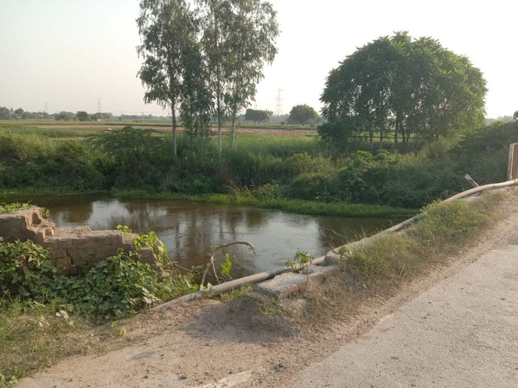 Railing of Purha river bridge broken in Bidhuna-Achhalda road There is ...