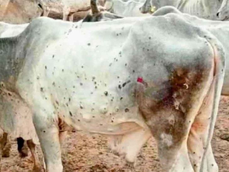 Villagers of 22 villages of Bhimpur block will not celebrate Diwali ...
