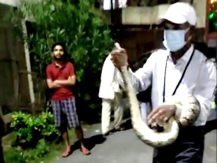 Snake Rescue Case Updates in Prayagraj: Green Man Prof. NB Singh did ...