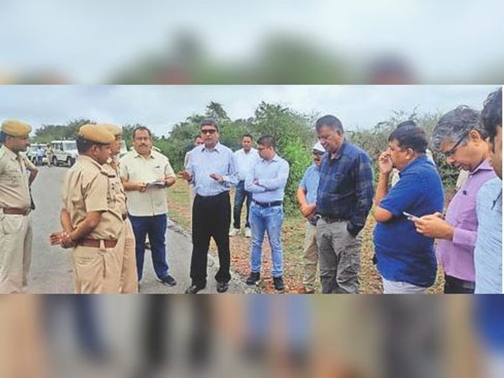 State's 5th Tiger Reserve Corridor can be built in Karauli-Dholpur, proposal sent to the center ...