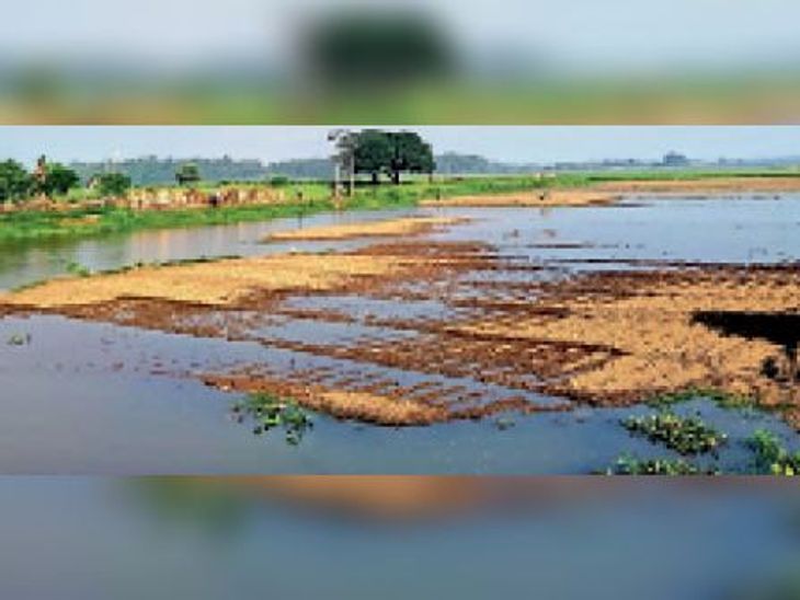 Water level of Kumbhari river increased, crops destroyed | परेशानी ...