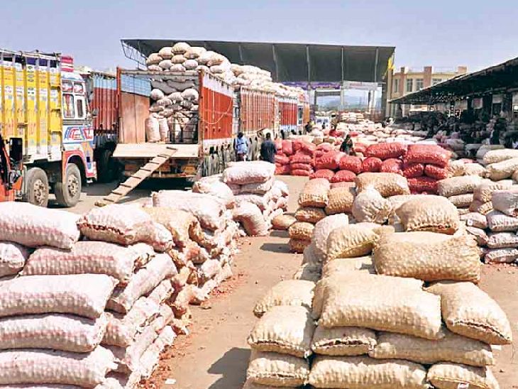 Garlic 2500 and onion sold for Rs 3121 a quintal in the agricultural ...