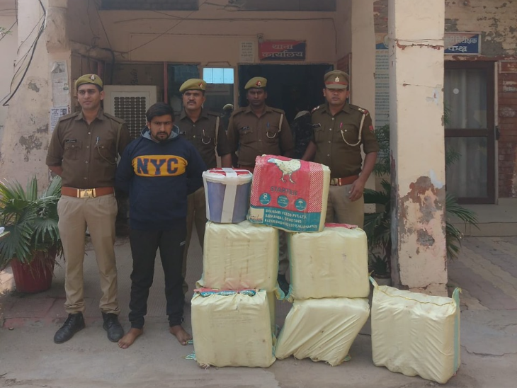 Mathura police recovered 185 kg of ganja along with a smuggler | उड़ीसा ...
