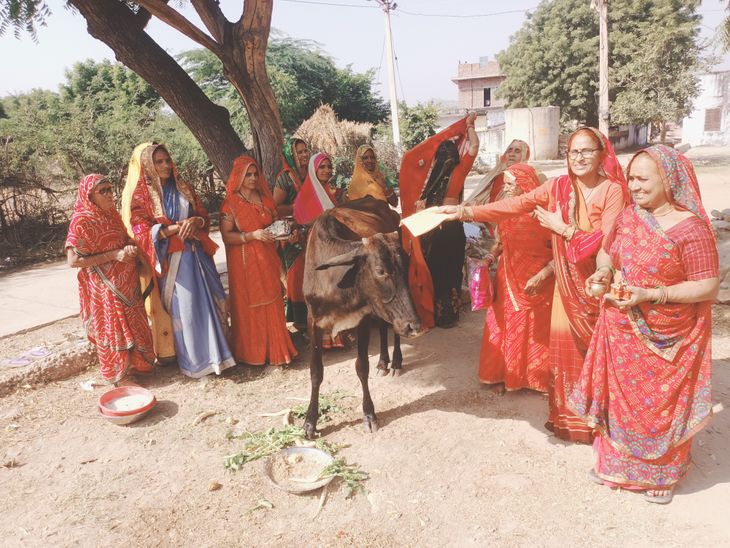On Gopashtami, cows were worshiped by adornment, Shri Krishna had ...
