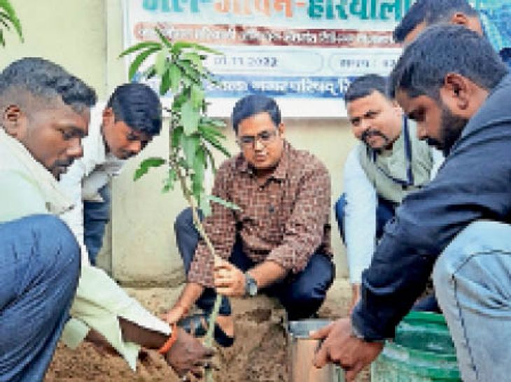 Plantation done under Jaljeevan Hariyali program | कार्यक्रम: जलजीवन ...