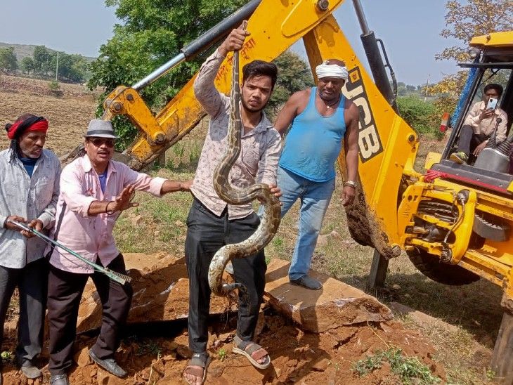 15 feet python was sitting under the rocks, rescued and caught | सागर ...