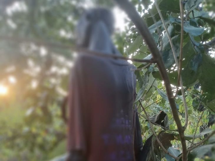 Several days old dead body found hanging on a noose in Majhgawan forest ...