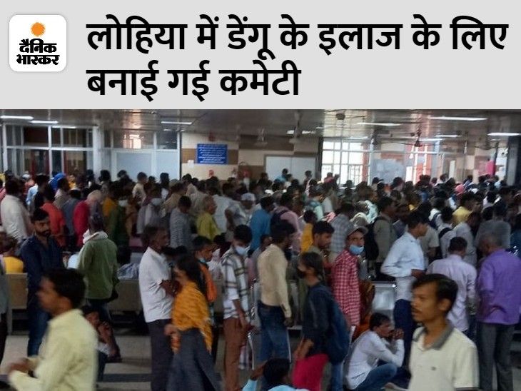 UP - Dengue Cases on High Rise in state - More than 8000 case register ...