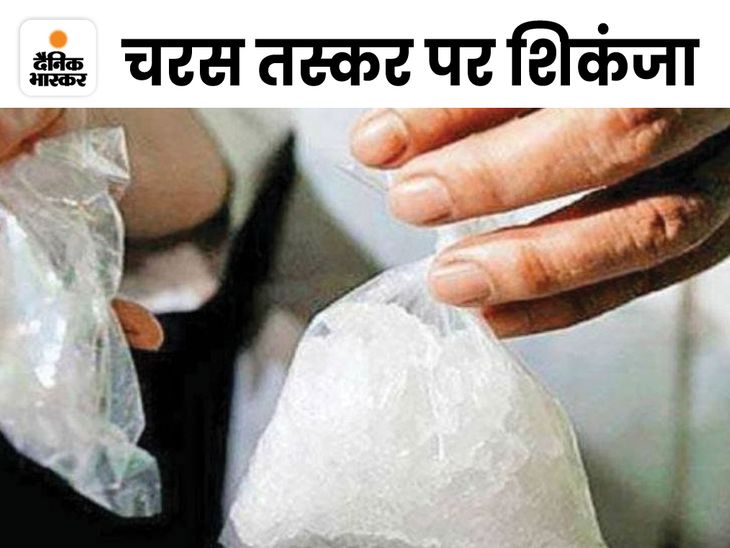 Mumbai smuggler sent 400 grams of charas to Bhopal by giving 2 thousand ...