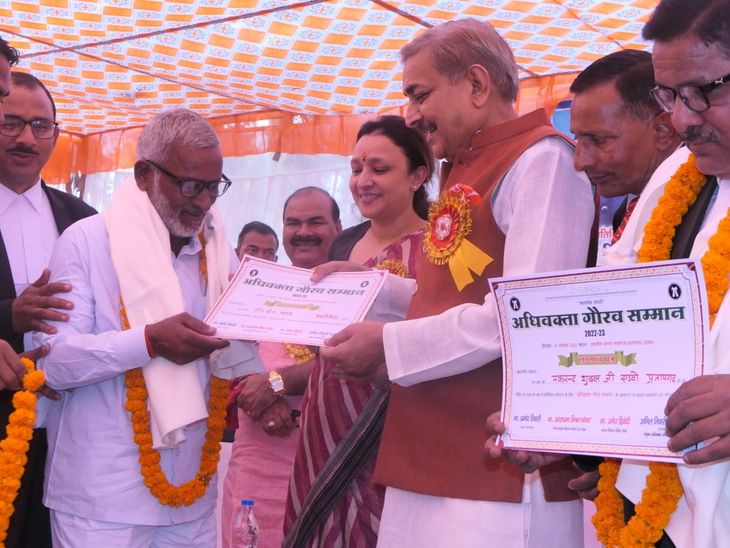 The aim of the bar should always be to strengthen the purity of the ...