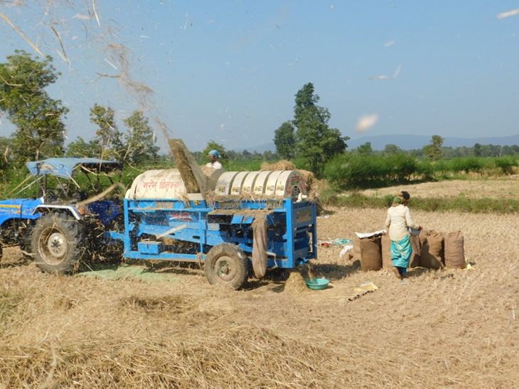 Rabi sowing stuck due to non-commencement of paddy purchase on support price, paddy harvesting ...