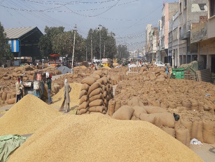 Paper lifting completed, paddy reached the grain market roads littered ...
