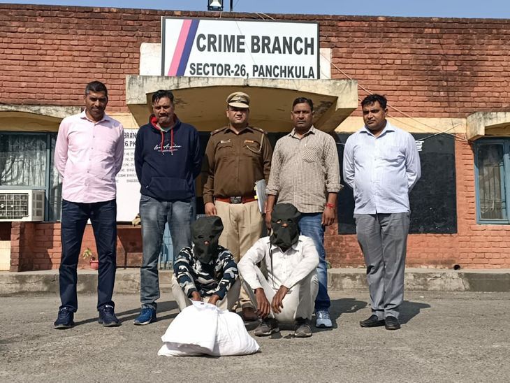 2 arrested with poppy seeds in Panchkula, Sector 26 Crime Branch ...