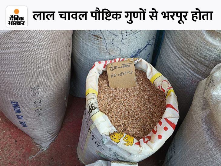 Peja variety of red rice in himachal 800 rupees per kg, sugar patients ...