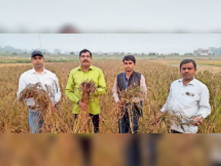 Farmers of Nautan are becoming inspiration for others | खेती -बारी ...