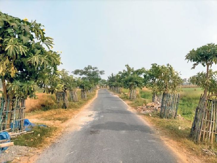 Bengali Baba planted trees in the entire village when his wife had ...